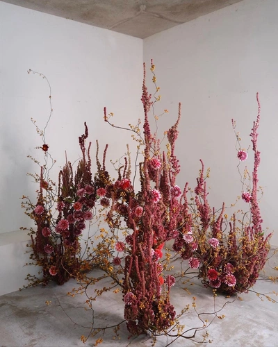 floral core (@elizabethdawn) / Cosmos