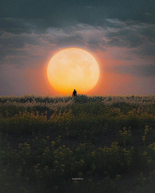 The Moon (@gin24) / Cosmos