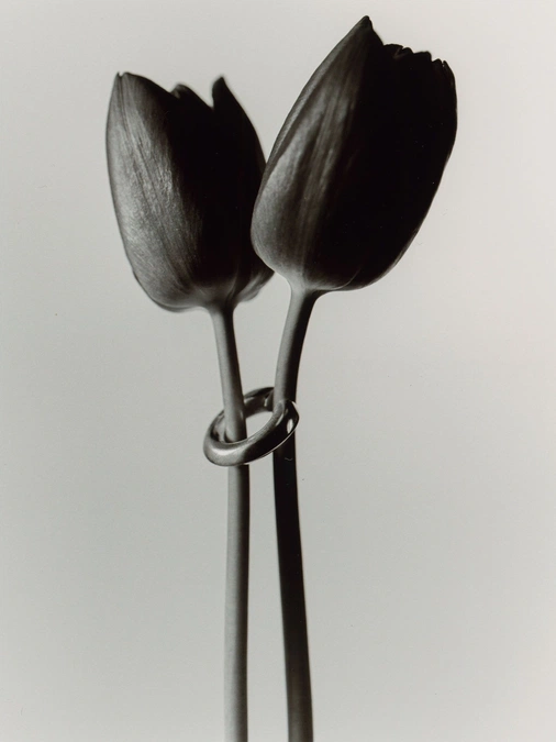 BW Aesthetic (@maelystabone) / Cosmos