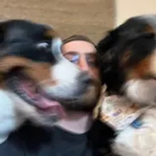 Alex Dee (@alexdee) / Cosmos