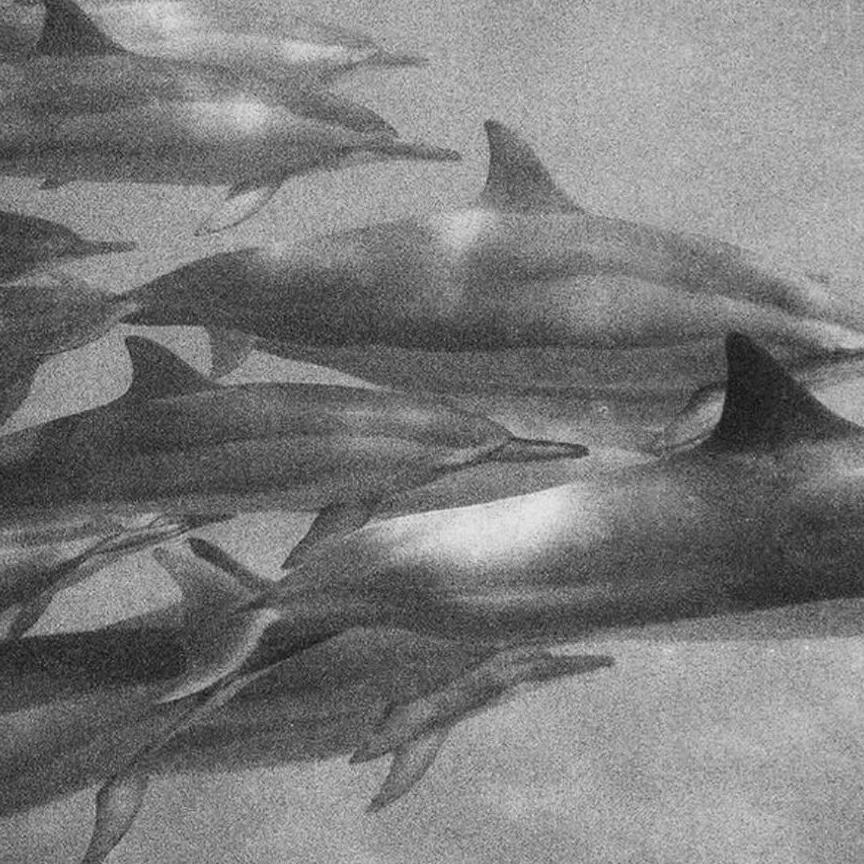 Cosmos (@cosmos) / Cosmos