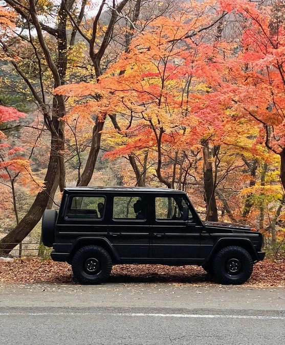 whip appeal (@gmgmgm) / Cosmos