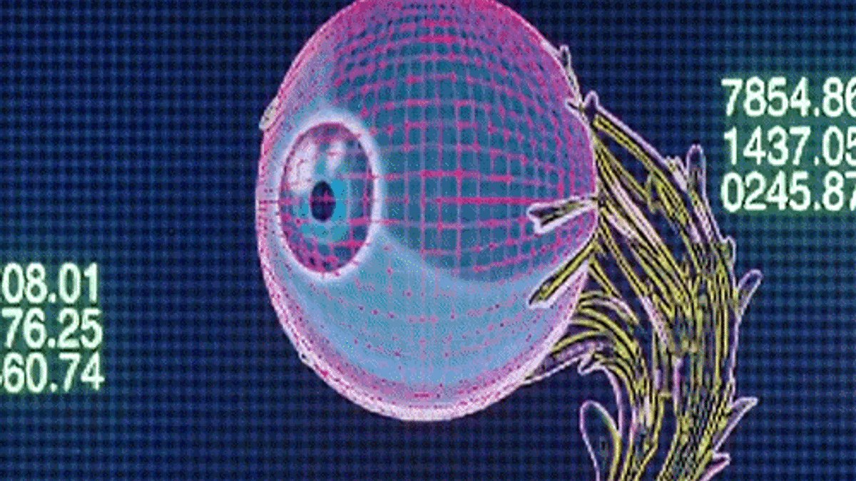 human body (@julia.spies) / Cosmos