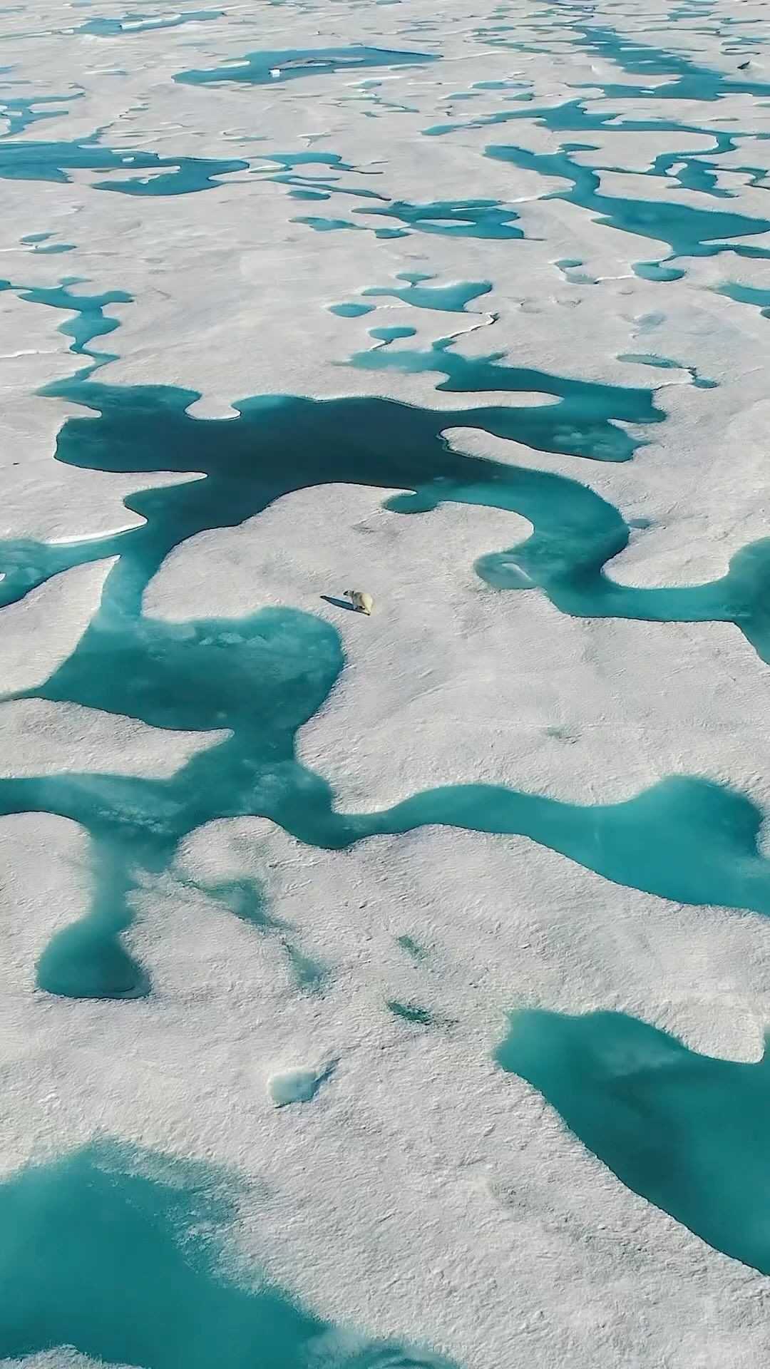 someplace (@misee) / Cosmos