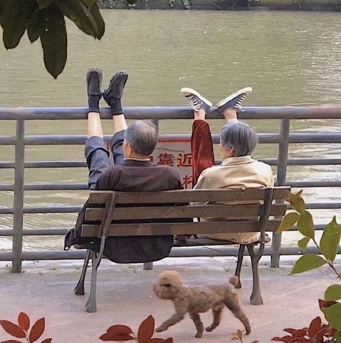 Funny humans and nature (@kalouma51) / Cosmos