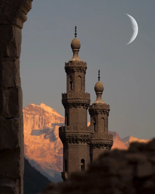 book (@bosoro) / Cosmos