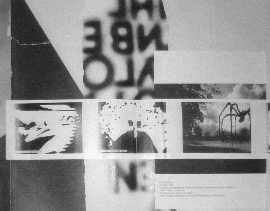 design (@lily.co) / Cosmos