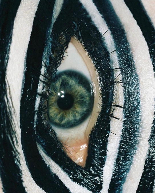 Monkey bone (@ludivine) / Cosmos