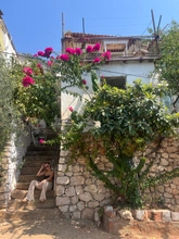 Lilly Rothschild (@lillyrothschild) / Cosmos