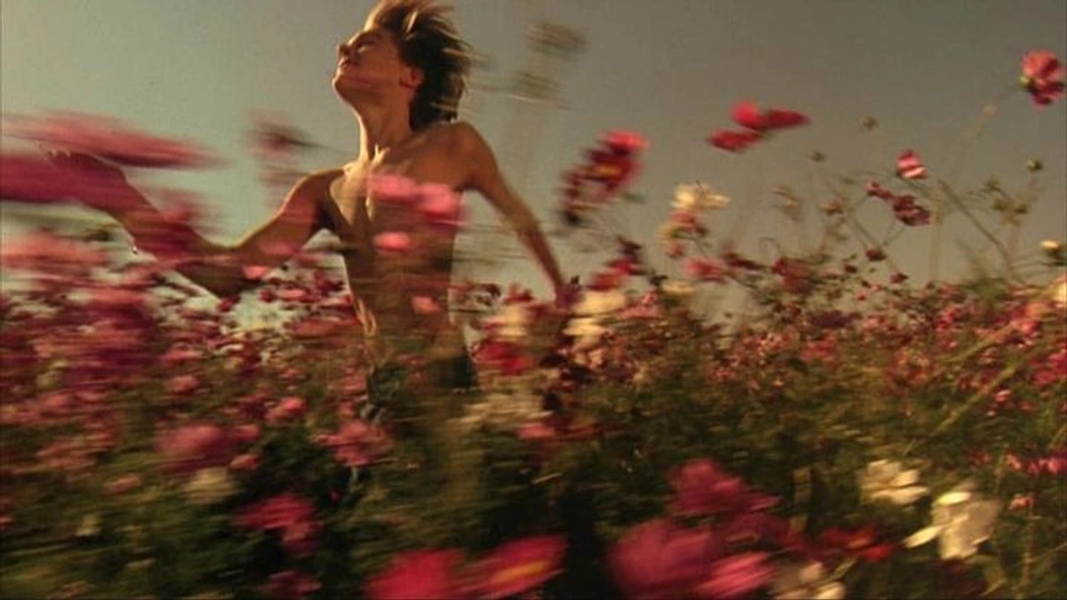 modern scenes (@moderncavegirl) / Cosmos