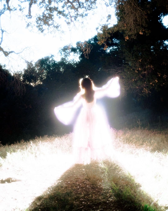 Ethereal beast (@gherla) / Cosmos