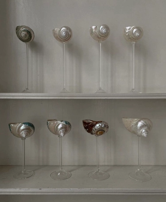 shell (@ishitaa) / Cosmos