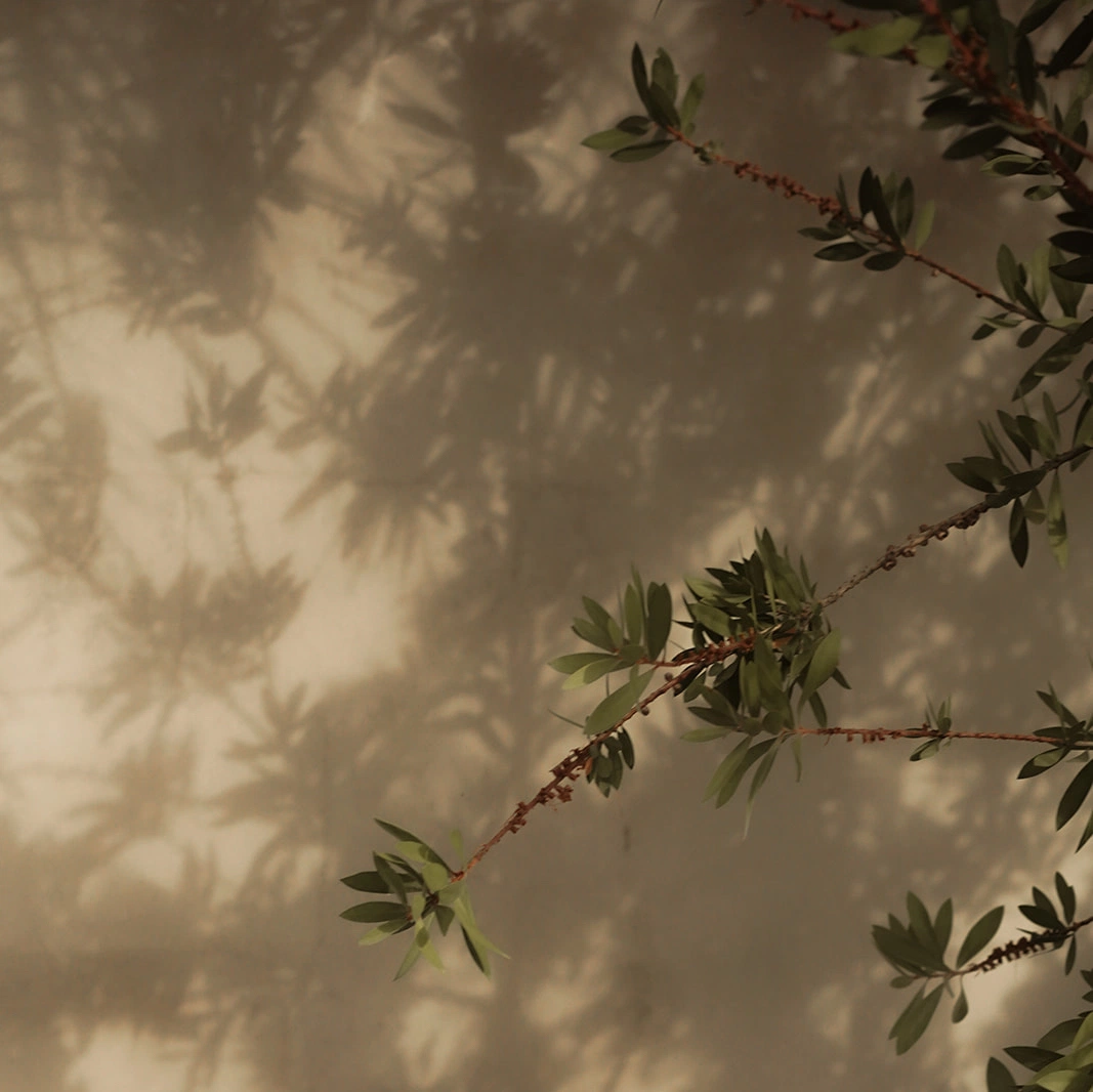 kepler 61b (@kepler) / Cosmos