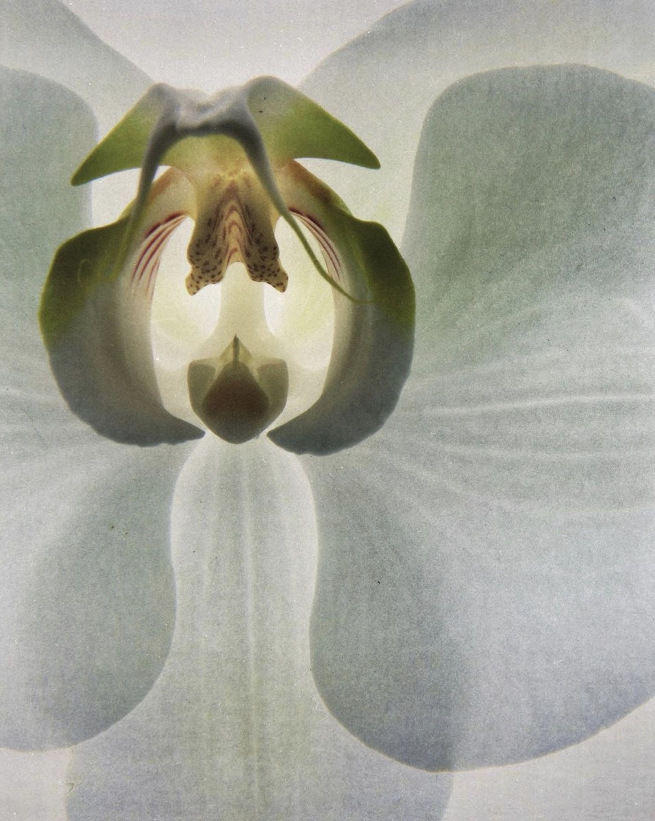 Motion-Primitives - UI kit to make beautiful, animated interfaces, faster.