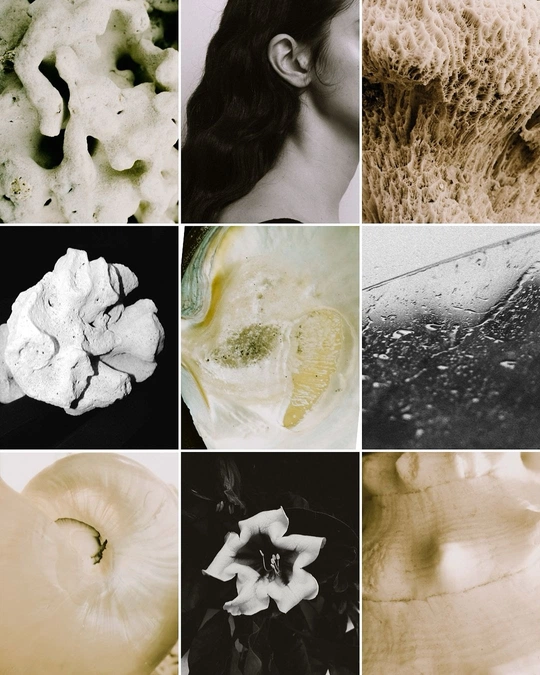 Textures (@sgrey) / Cosmos