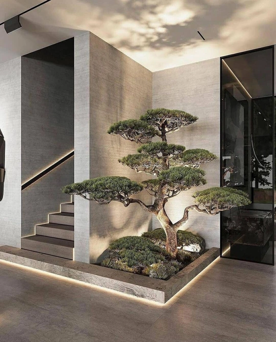 bonsai (@ajanae) / Cosmos