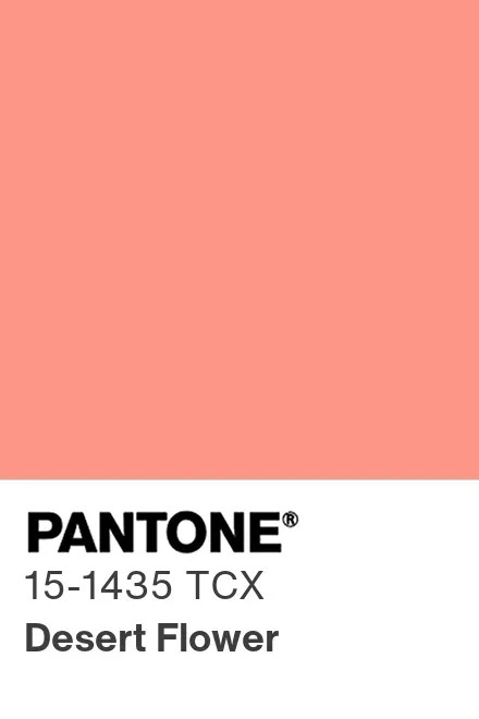 Pantone, Desert Flower (@sarahlindsay) / Cosmos