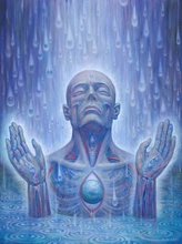 MENTAL BEINGS (@mind) / Cosmos