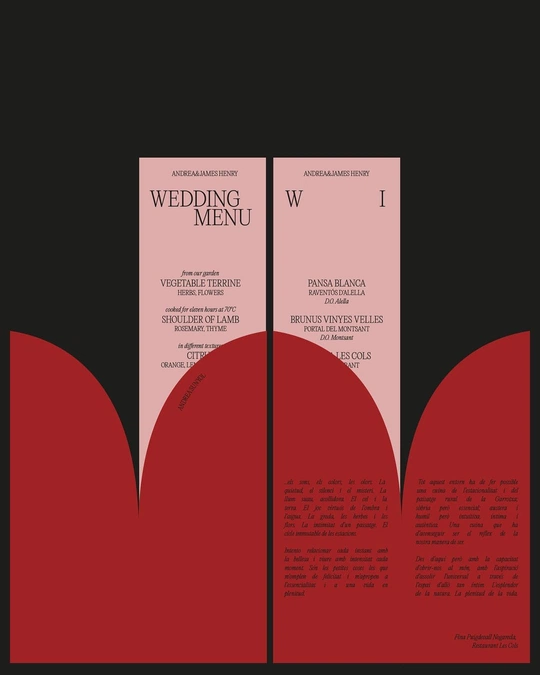 Fancy Flyers (@finnct) / Cosmos