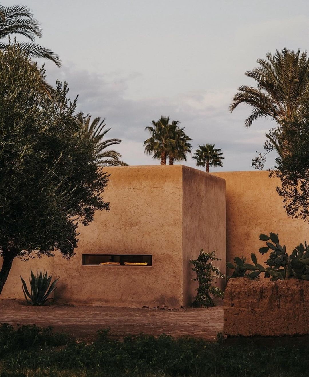 desert hideout (@omg) / Cosmos