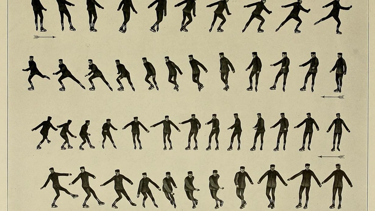 Layout (@poligono) / Cosmos