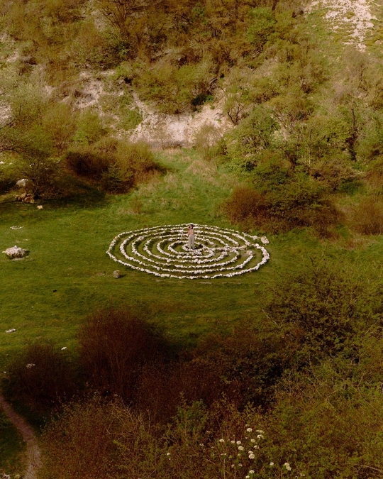 The River is Flowing (@fimacphee) / Cosmos